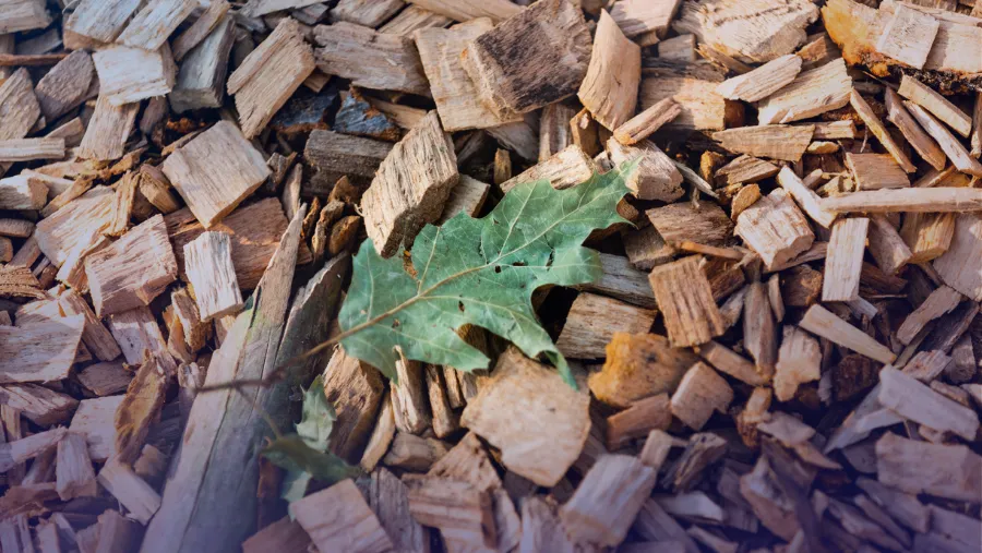 Our international network - Trade & Invest